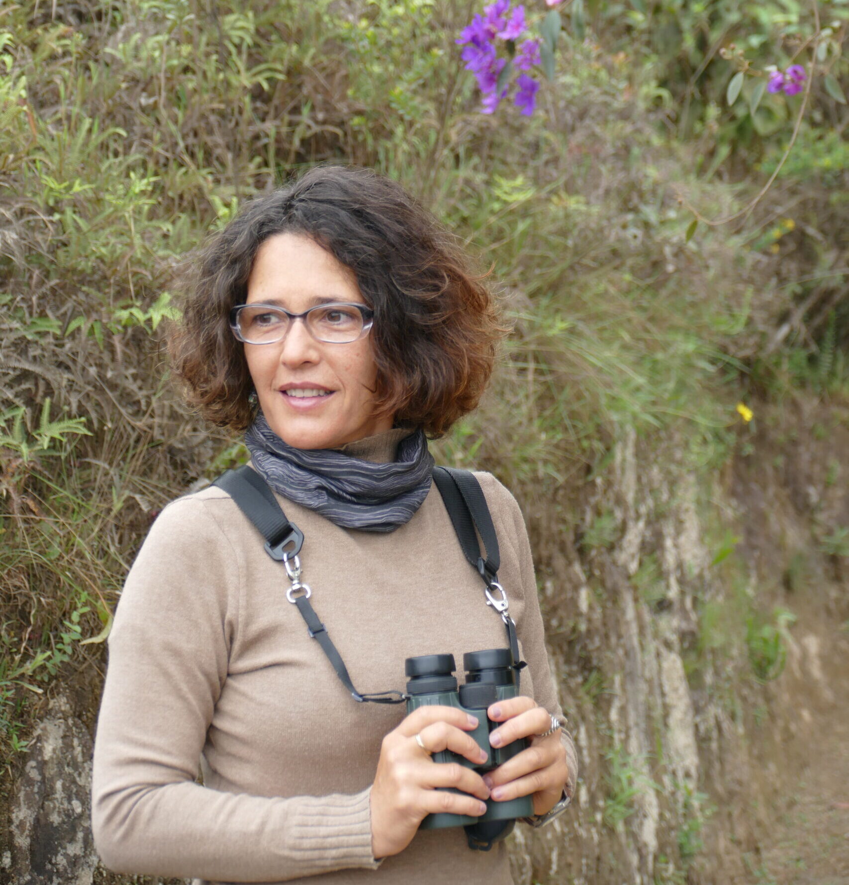 Minas Gerais – BR Silvestre – Turismo silvestre no Brasil